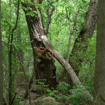 Carpenter Lake Nature Preserve - 108 Photos & 26 Reviews - Hiking - 10 ...