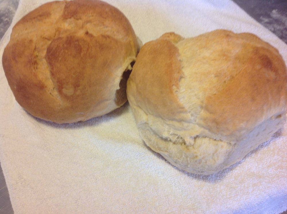 Daily Kneads Brick Oven Breads - 2019 All You Need to Know BEFORE You ...