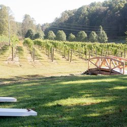 Bear Claw Vineyards - 18 Photos - Wineries - 2281 Tennis Court Rd, Blue ...