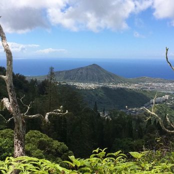 Kuliouou Ridge Trail - 1168 Photos & 327 Reviews - Hiking - Kalaau Pl ...