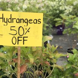 Kent East Hill Nursery - 76 Photos & 27 Reviews - Nurseries & Gardening ...