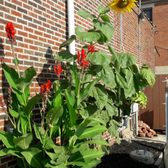 Valters at the Maennerchor - Order Online - 363 Photos & 174 Reviews ...