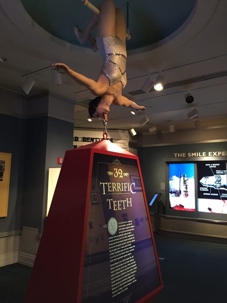 National Museum Of Dentistry - 25 Photos - Museums - 31 S Greene St ...