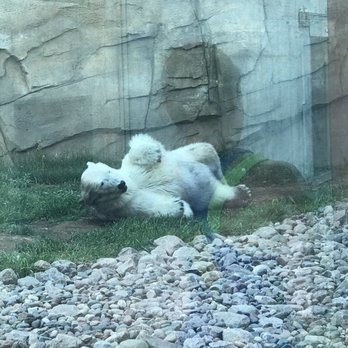 Henry Vilas Park Zoo - 195 Photos & 138 Reviews - Zoos - 702 S Randall ...