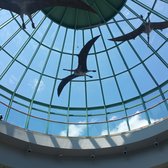 North Carolina Museum of Natural Sciences - 390 Photos & 154 Reviews ...