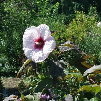 Queens Botanical Garden - 458 Photos & 85 Reviews - Botanical Gardens ...