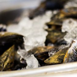 Blue Point Crab House - 30 Photos & 40 Reviews - Seafood Markets ...