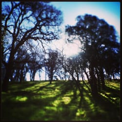 Diablo Foothills Regional Park - 89 Photos & 37 Reviews - Parks - 1700 ...