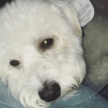 The KAAWS Clinic - 19 Photos & 88 Reviews - Veterinarians - 17259 Fm ...