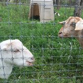 Queens County Farm Museum - 377 Photos & 132 Reviews - Museums - 73-50 ...