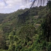 Makiki-Manoa Cliffs Hike - 95 Photos & 28 Reviews - Hiking - 2131 ...