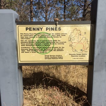 Pacific Crest Trail At Penny Pines - 2019 All You Need to Know BEFORE ...