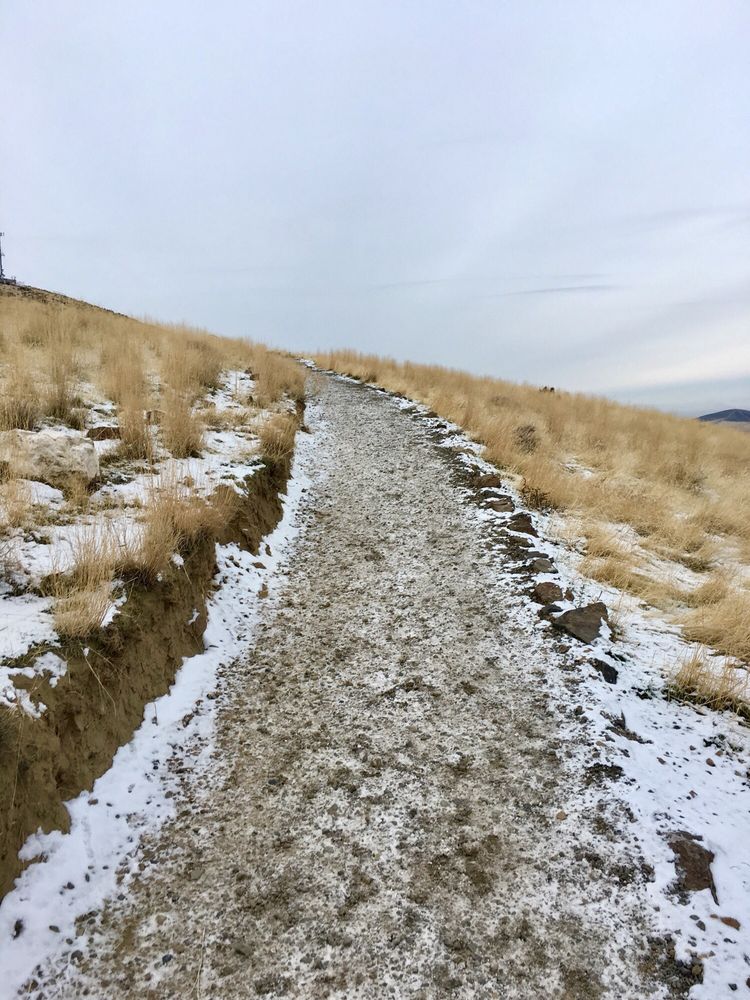 Badger Mountain Trails - 16 Photos & 15 Reviews - Hiking - 1294 White ...