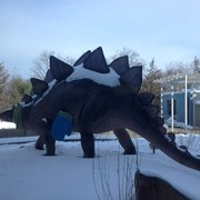 EcoTarium - 24 Photos & 39 Reviews - Museums - 222 Harrington Way ...