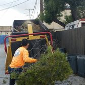 All Access Tree Care - 26 Photos & 70 Reviews - Tree Services - 289 ...