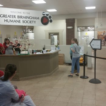 Greater Birmingham Humane Society - 39 Photos & 20 Reviews - Animal ...