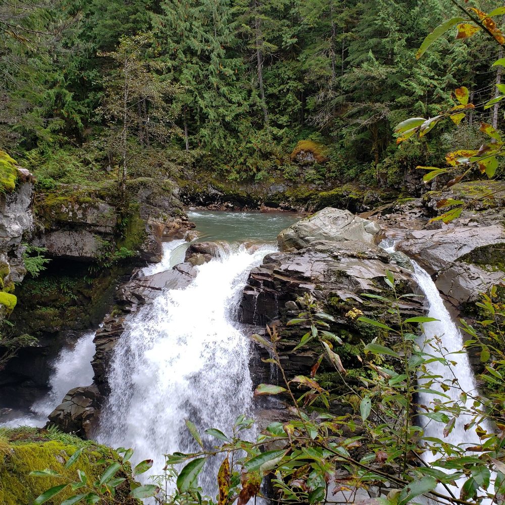 Best Day Hikes in Bellingham & Whatcom County - Yelp