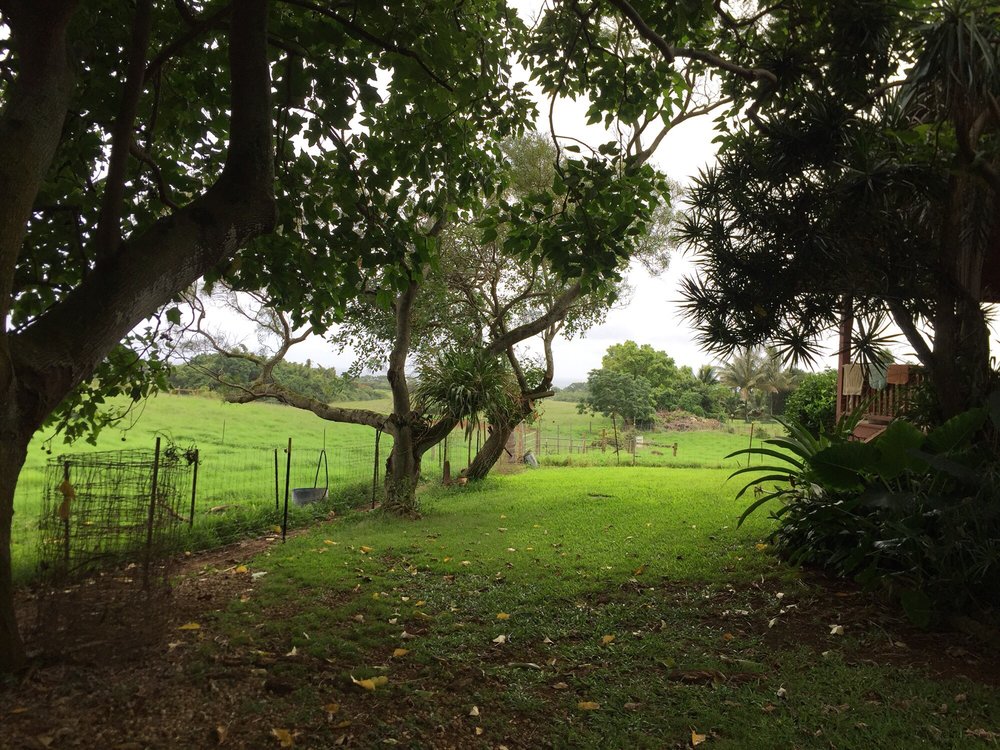 Kauai Kunana Dairy - 22 Reviews - Farmers Market - 4552 Kapuna Rd ...