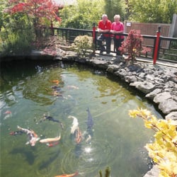 Paddock Farm Nursery & Water Gardens - Tea Rooms - West Lane ...