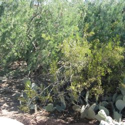 Alice Vail Middle School - 17 Photos - Middle Schools & High Schools ...