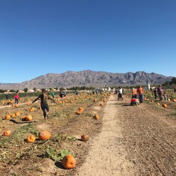 Gilcrease Orchard - 794 Photos & 209 Reviews - Fruits & Veggies - 7810 ...