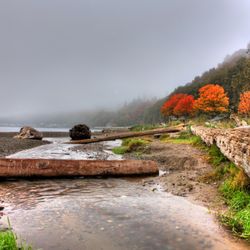 Ed Munro Seahurst Park - 136 Photos & 37 Reviews - Parks - 1600 SW ...