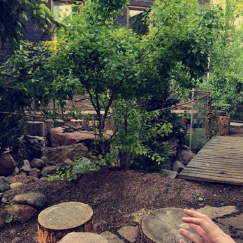 Forest Room 5 - 96 Photos & 539 Reviews - Tapas Bars - 2532 15th St ...