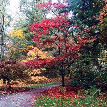 Washington Park Arboretum - 528 Photos & 194 Reviews - Parks - 2300 ...