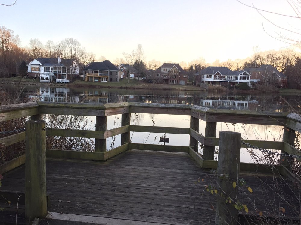 Anchorage Trail - 39 Photos - Hiking - 11507 Park Rd, Anchorage ...