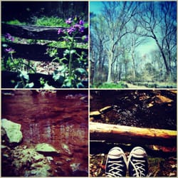 Big Trees Forest Preserve - 99 Photos & 29 Reviews - Parks - 7645 ...