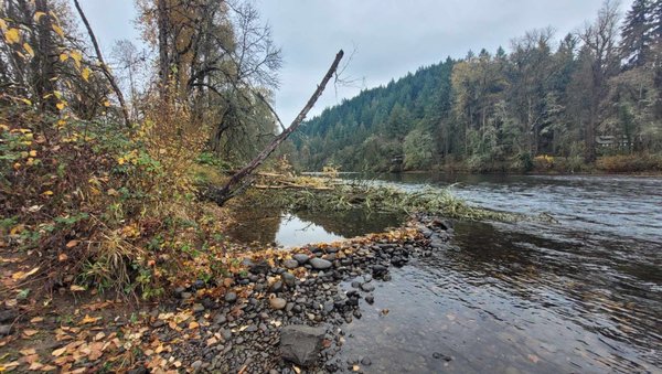 Marcola, OR Map & Directions - MapQuest