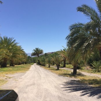 China Ranch Date Farm - 308 Photos & 77 Reviews - Ranches - 8 China ...