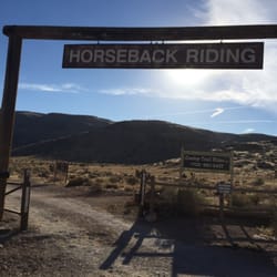 Cowboy Trail Rides - 55 Photos & 26 Reviews - Horseback Riding - 4053 ...