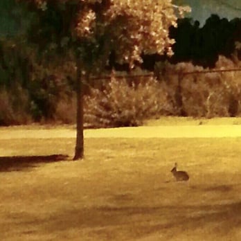 Lopez Ridge Park and Meeting Center - 35 Photos & 17 Reviews - Parks ...