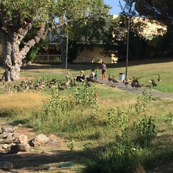 Dan Foley Park - 37 Photos - Parks - 1461 N Camino Alto, Vallejo, CA ...