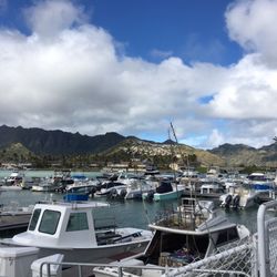 Koko Marina Center - 84 Photos & 38 Reviews - Shopping Centers - 7192 ...