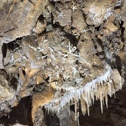 Black Chasm Cavern - 179 Photos & 101 Reviews - Tours - 15701 Volcano ...