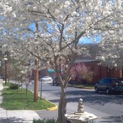 Atasia Spa - 11 Photos & 31 Reviews - Massage - 41 Congress St ...