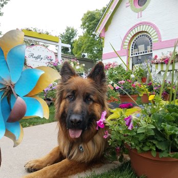 The Ruffly Rose - 78 Photos & 93 Reviews - Florists - 1611 S Pearl St ...