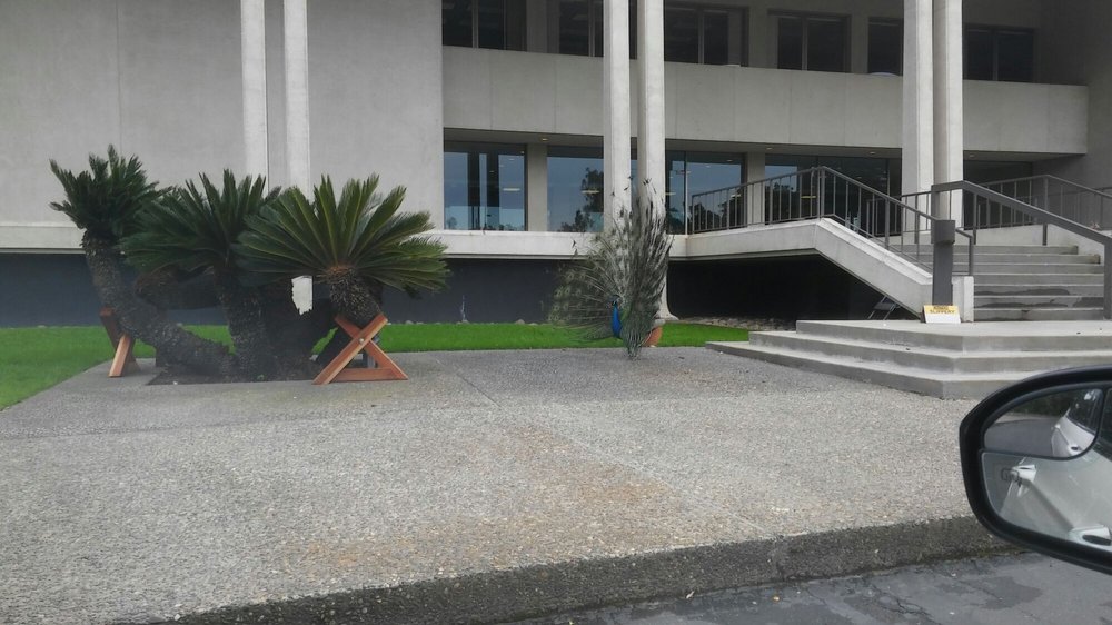 E & J Gallo Winery - 23 Photos - Wineries - 600 Yosemite Blvd, Modesto ...