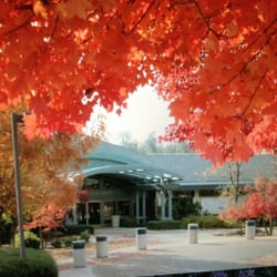 Cedar Eye Center Medical Group - 30 Reviews - Optometrists - 4300 ...