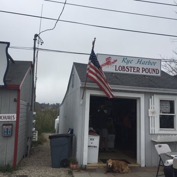 Rye Harbor Lobster Pound - 101 Photos & 48 Reviews - Seafood - 1870 ...