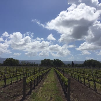 Roblar Winery - 170 Photos & 173 Reviews - Wineries - 3010 Roblar Ave ...