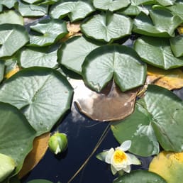 Flowing Lake Park - 2019 All You Need to Know BEFORE You Go (with ...