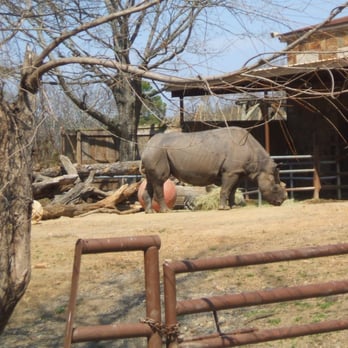 Little Rock Zoo - 93 Photos & 22 Reviews - Zoos - 1 Zoo Drive - Little ...