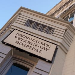 Georgetown Veterinary Hospital - 27 Reviews - Veterinarians - 2916 M St ...
