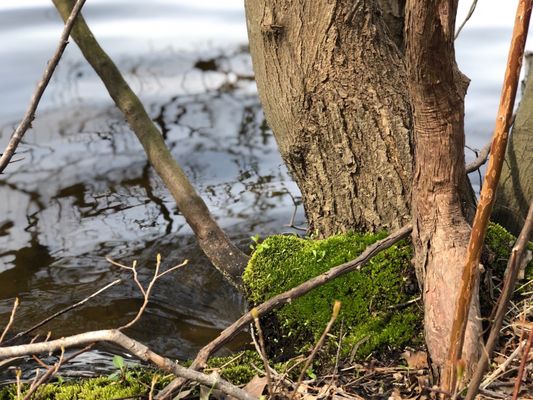 Edgewood, NY Map & Directions - MapQuest