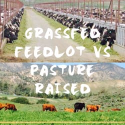 5 Bar Beef - 11 Photos - Butcher - Silverado, CA - Phone Number - Yelp