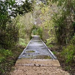 Berry Springs Park And Preserve - 44 Photos & 12 Reviews - Parks - 1801 ...