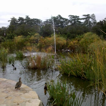 CSUN Pond - 270 Photos & 57 Reviews - Parks - 18111 Nordhoff St ...